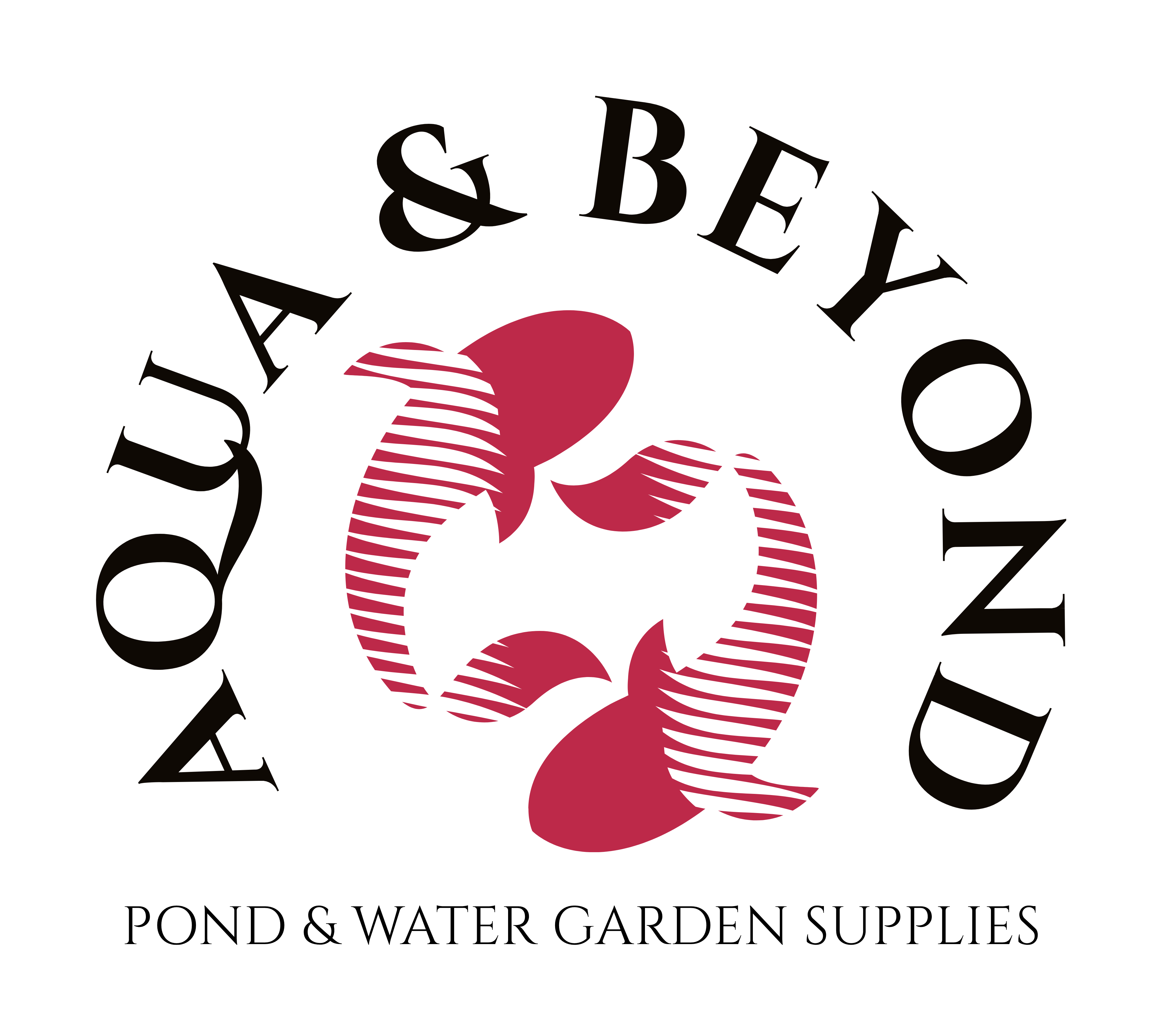 Aqua and Beyond – Aqua And Beyond